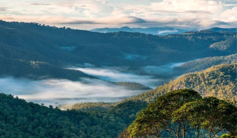 Things To Do In Mount Tamborine: The Complete Guide (2026)