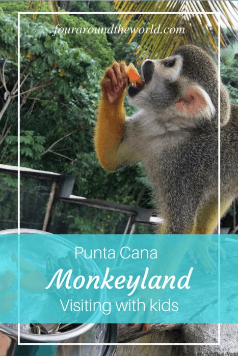 Monkeyland Punta Cana Tour Review: Squirrel Monkey Experience