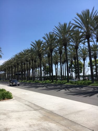 15 Fun Things To Do In Anaheim CA In 2024