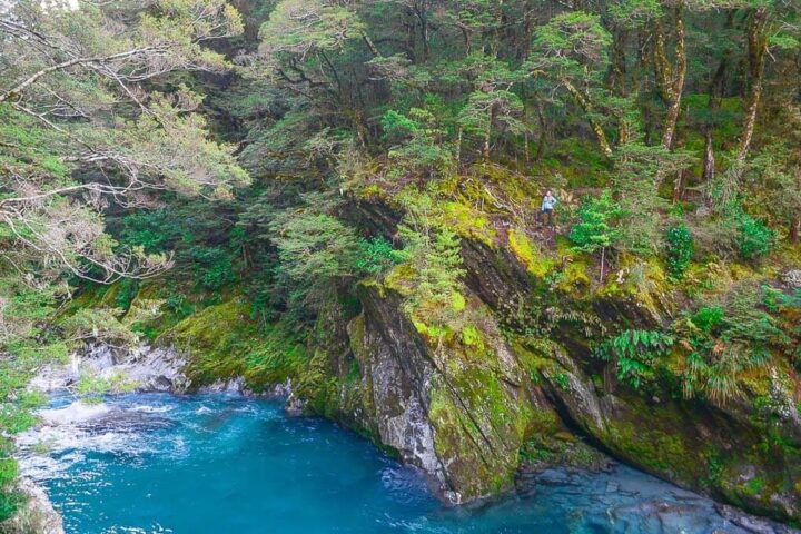 10 Best Day Hikes In South Island New Zealand (Kid-Friendly)