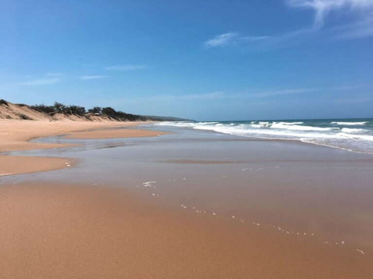 20 Best Queensland Beaches For Families: Gold Coast To Far North QLD