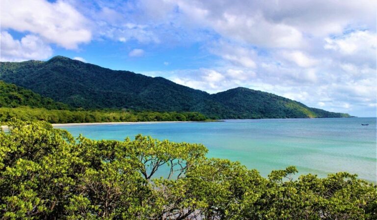 Cairns To Daintree Rainforest: Day Trip Guide With Things To Do