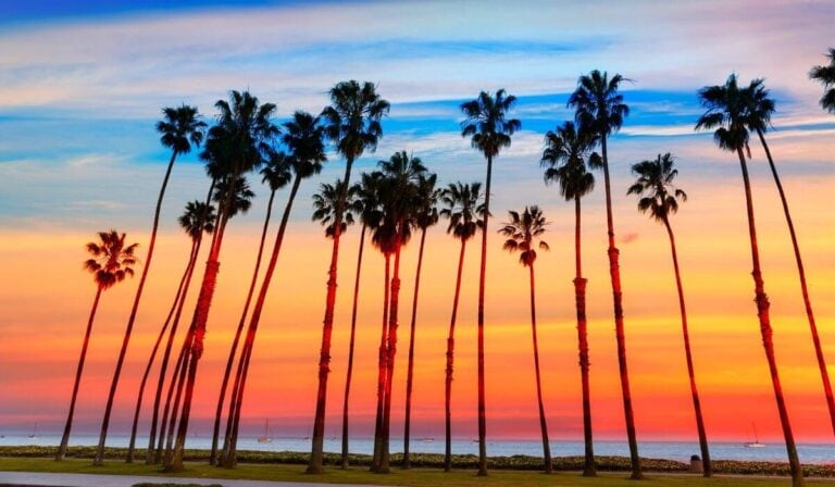 Ultimate California Bucket List: 50 Best Things To Do In California