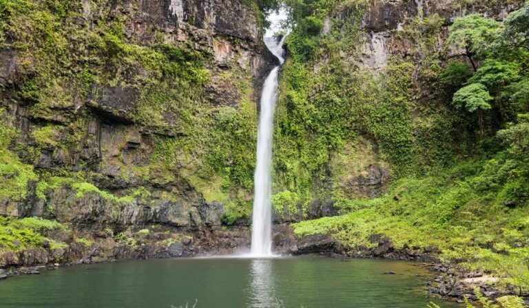 10 Best Waterfalls Near Cairns For A Scenic Day Trip