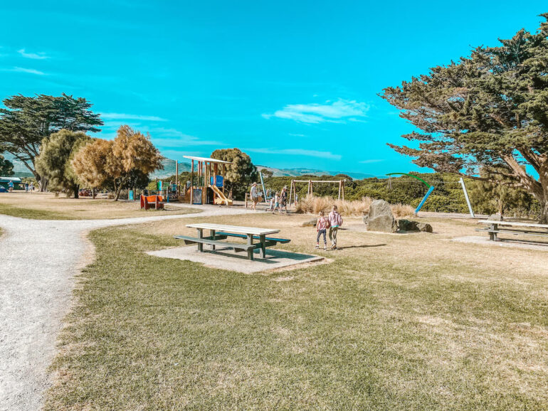 18 Fun Things To Do In Apollo Bay, Victoria