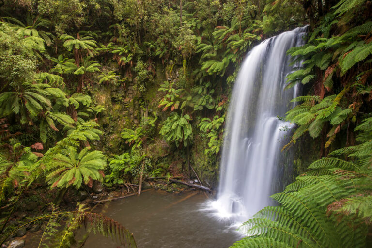 18 Fun Things To Do In Apollo Bay, Victoria