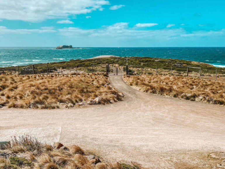 22 Fun Things To Do In Portland, Victoria (Local Tips)