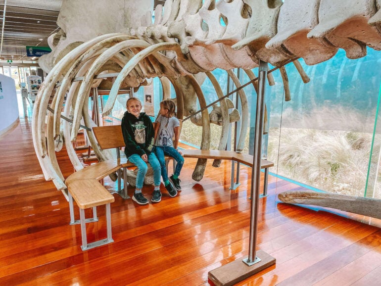 22 Fun Things To Do In Portland, Victoria (Local Tips)