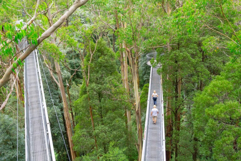 15 Fun Things To Do In Lorne With Kids