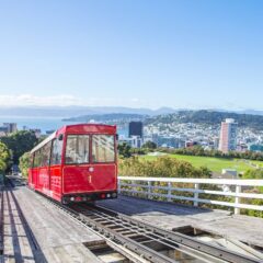 3 Day Auckland Itinerary: A Long Weekend Guide