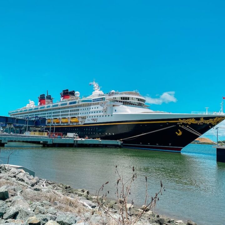 Disney Wonder Review: What We Really Thought