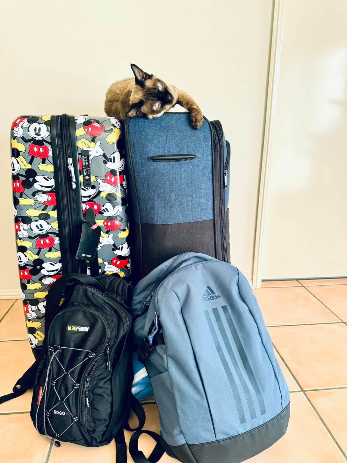 The Essential Japan Packing List For 2025