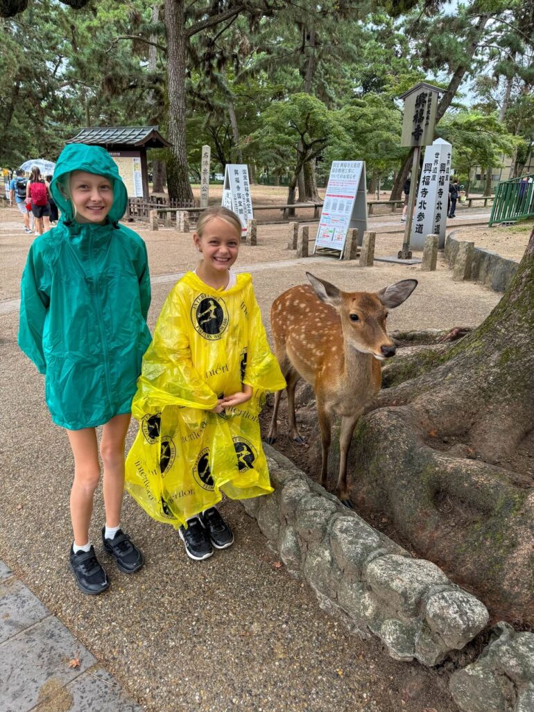 Japan With Kids: Plan A Family Trip To Japan
