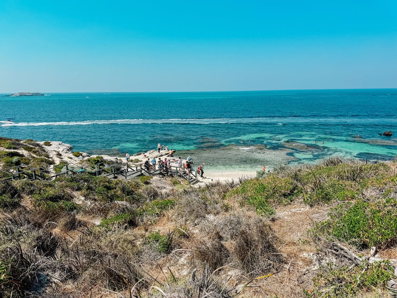 Rottnest Island Day Trip: Everything You Need To Know