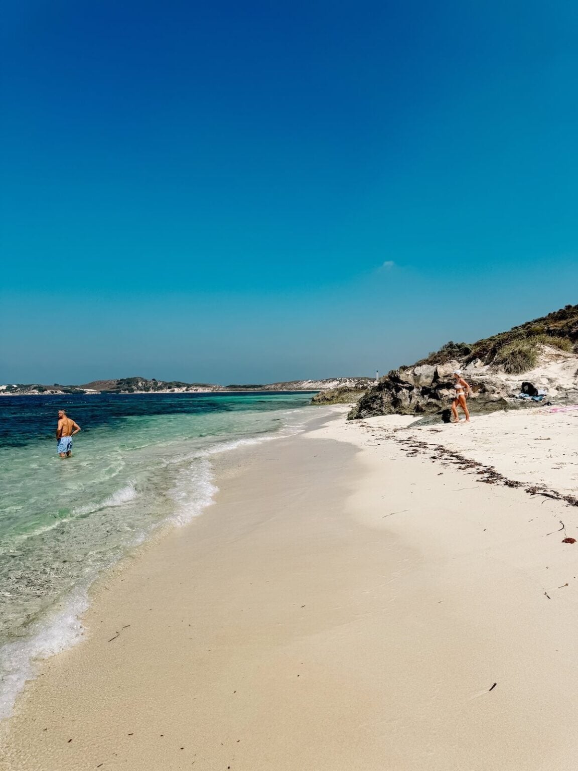 Rottnest Island Day Trip: Everything You Need To Know