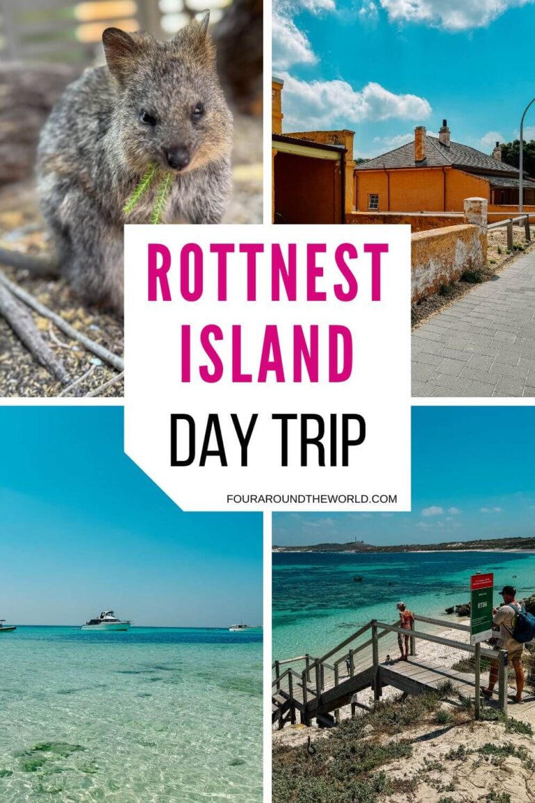 Rottnest Island Day Trip: Everything You Need To Know