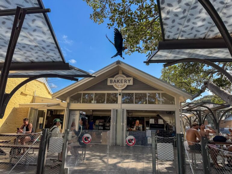 Rottnest Island Day Trip: Everything You Need To Know