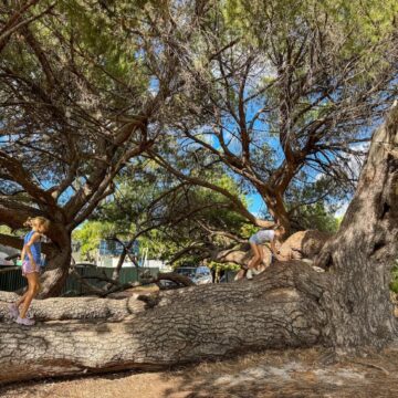 Key Largo To Key West: Best Florida Keys Road Trip Stops